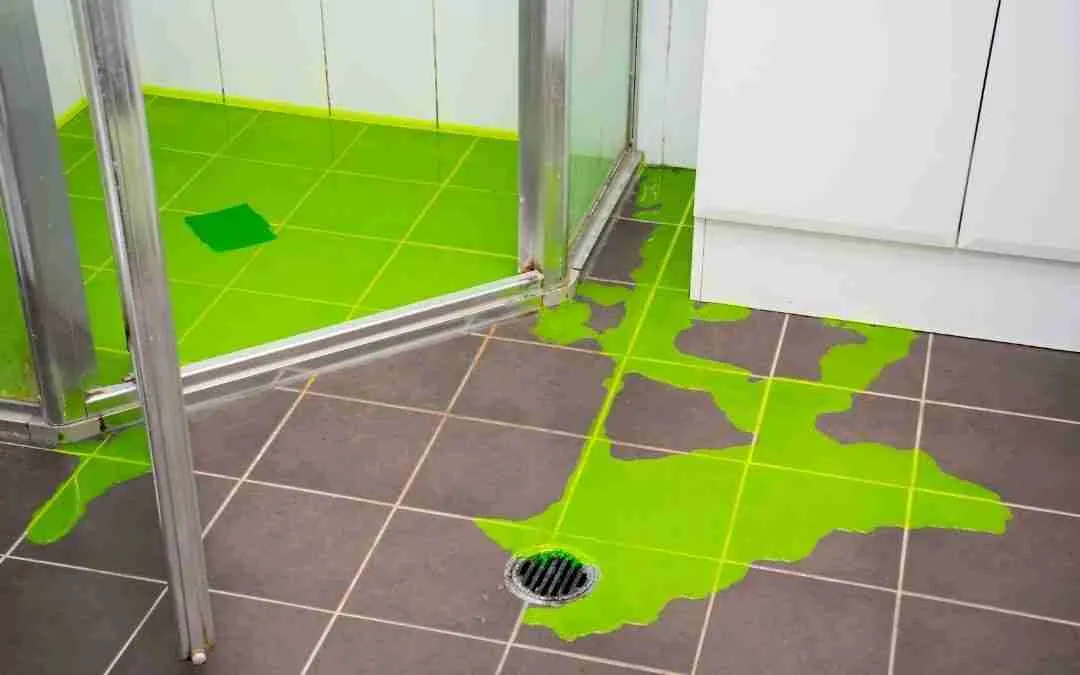 Warning Signs of a Leaking Shower - Omega Services